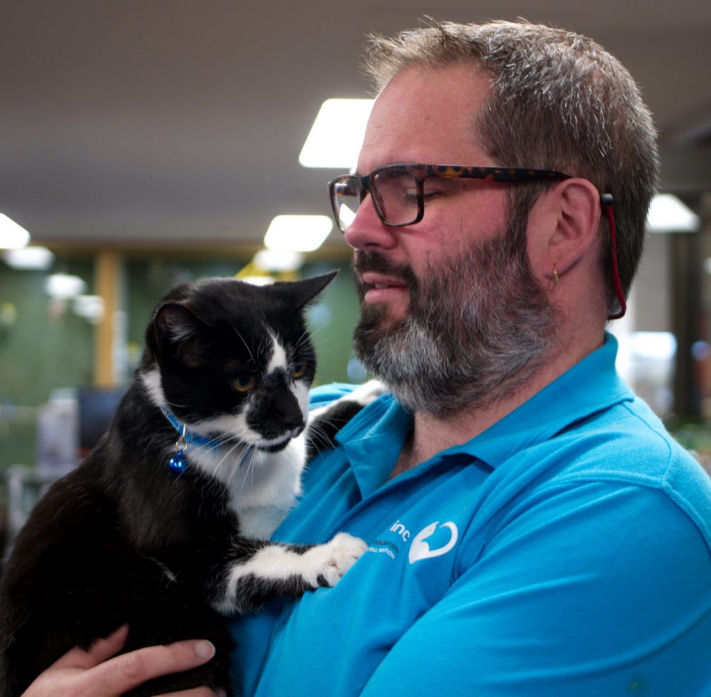 Volunteer – Cat Adoption Foundation Inc